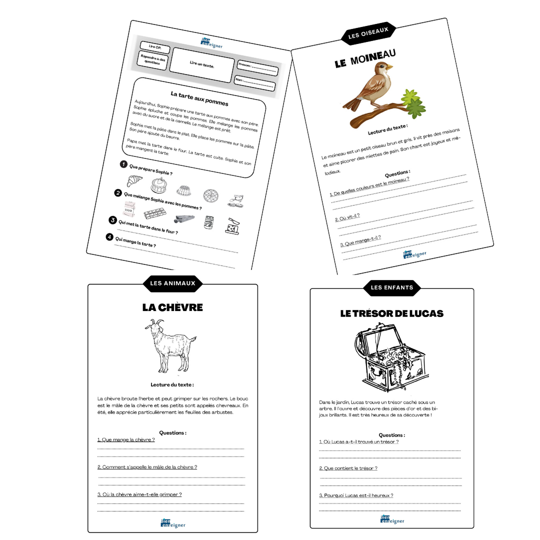 Lecture compréhension CP : textes à imprimer
